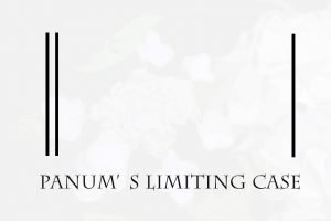 パヌム現象 | Dive into Myself